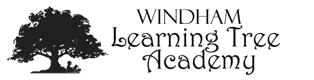 Windham Learning Tree Academy – Nurturing Child development in an ...